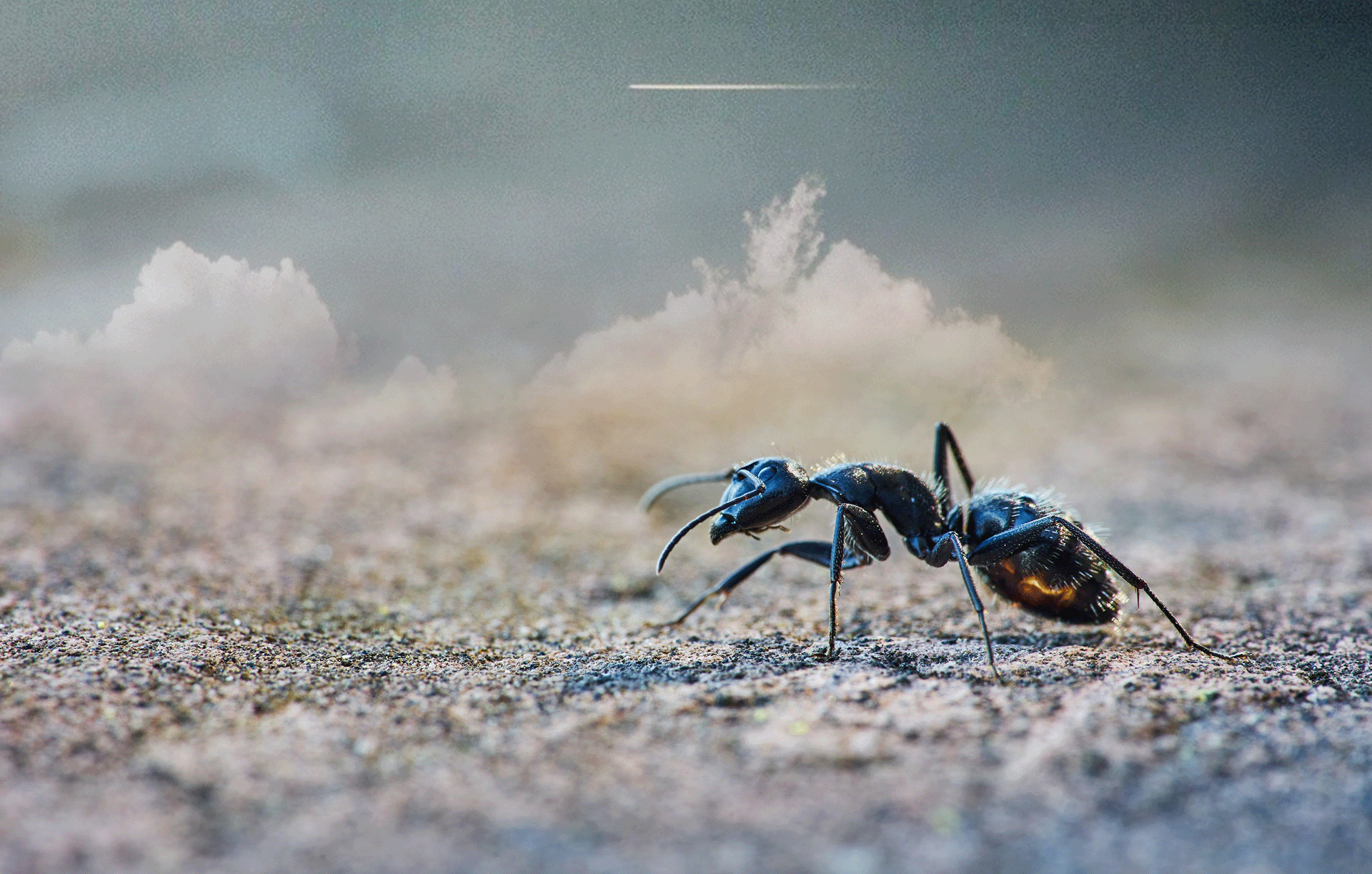 Feeling antsy? - Lewis Evans